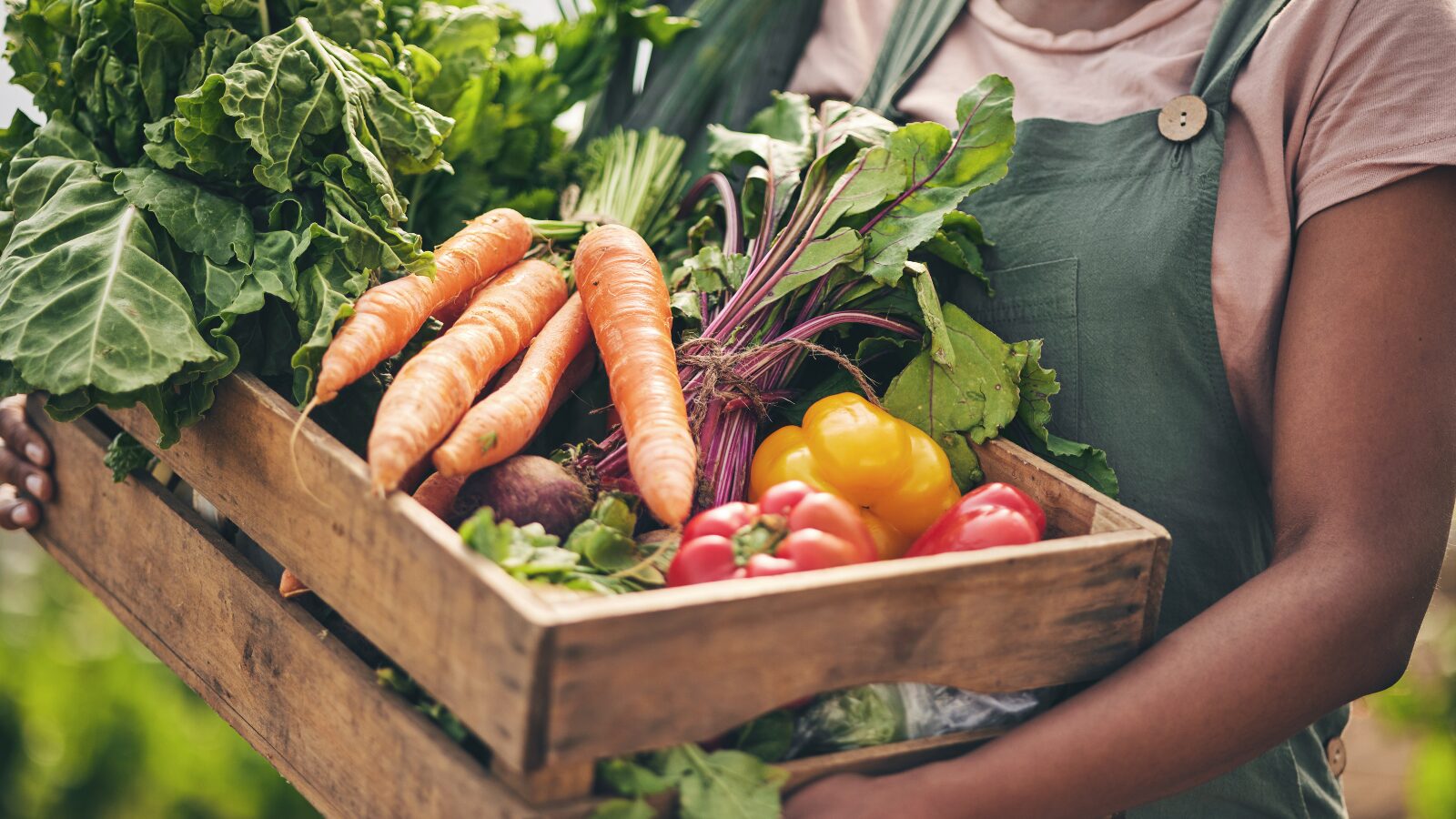 Healthy Food Financing Initiative Awards Nearly $3 Million through Food ...
